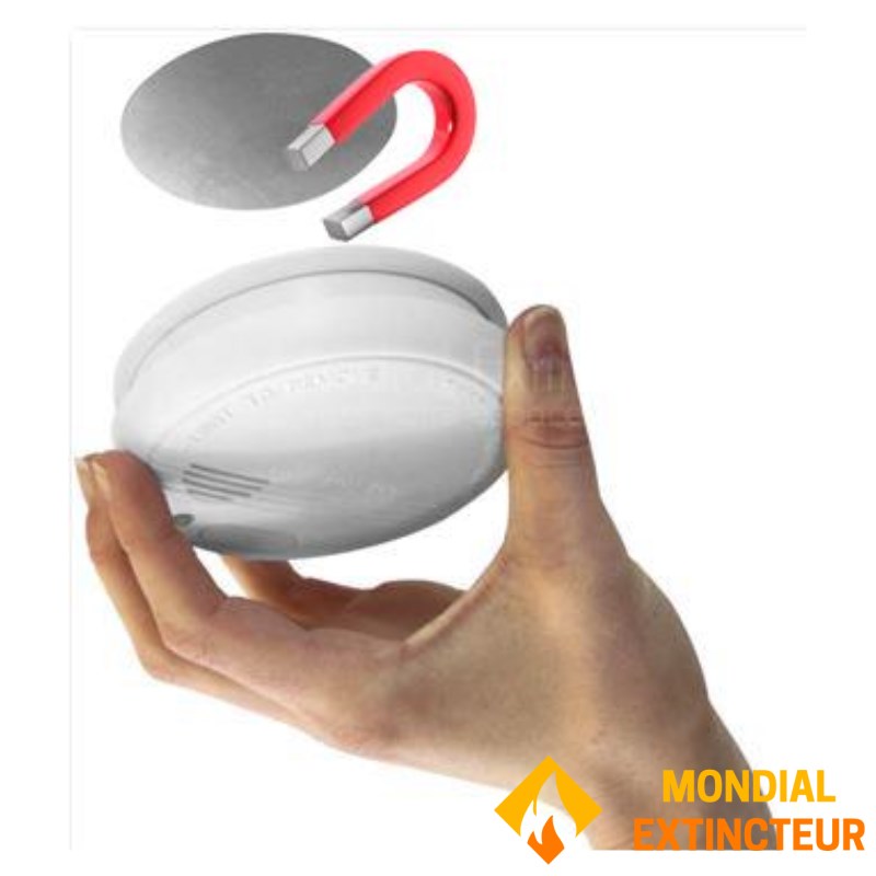 Magnetic mounting kit for detectors