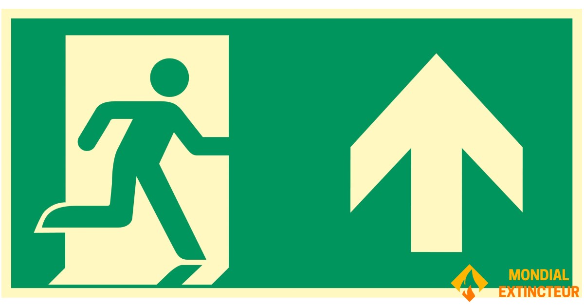 Photoluminescent evacuation FRONT panel 300 X 150 mm