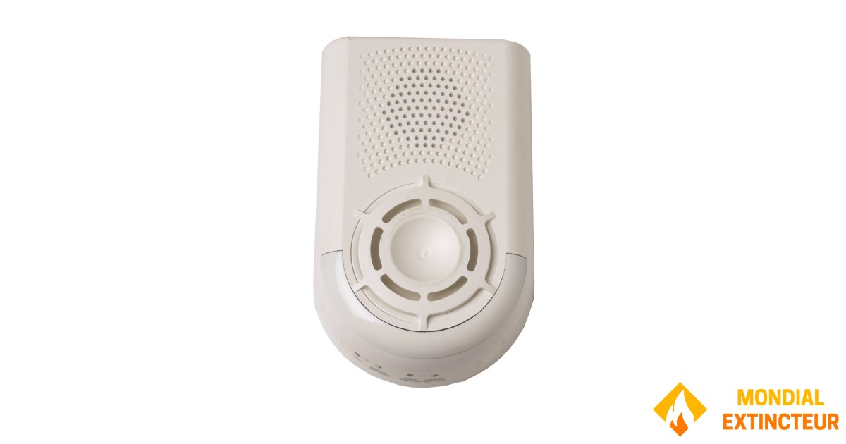 BAAS Sonora Manuel flash – Son NFS + message enregistré