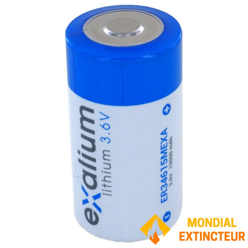 Pile Lithium EXALIUM Industrielle D - 3.6V - 13Ah