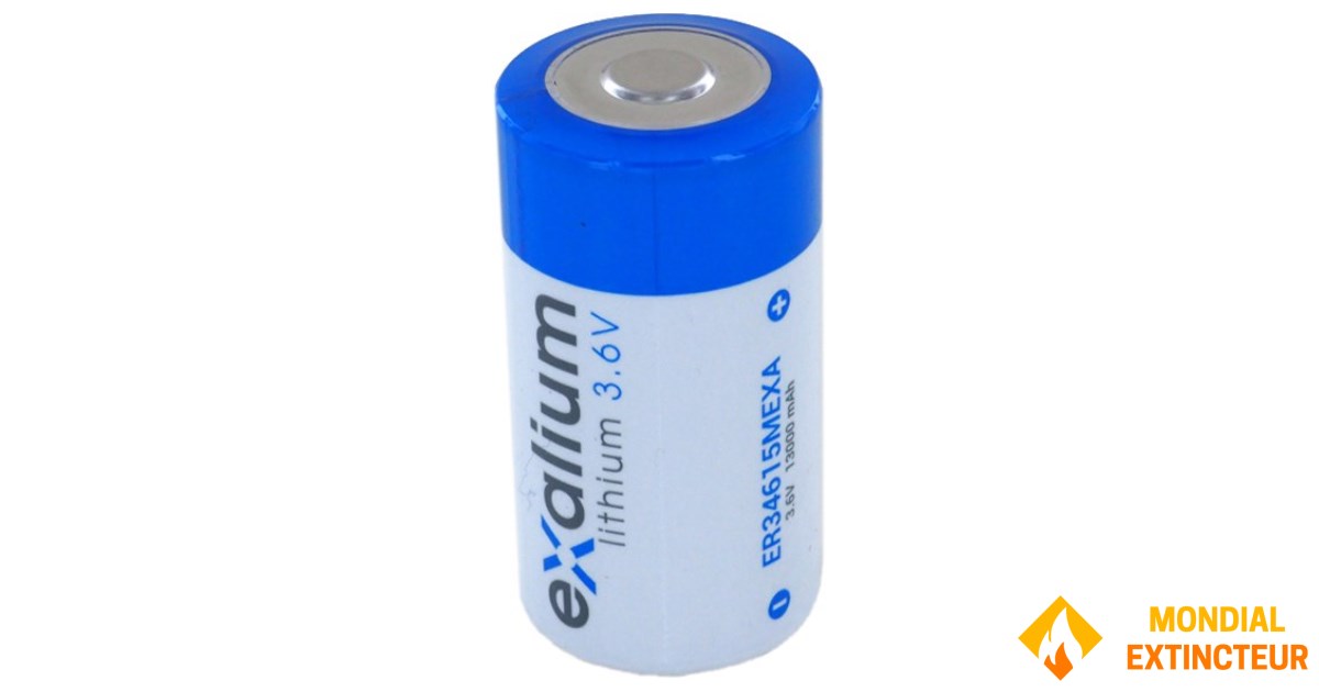 Pile Lithium EXALIUM Industrielle D - 3.6V - 13Ah